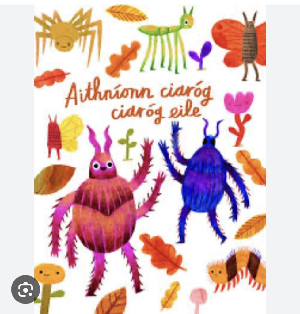 Seanfhocal an lae - Aithníonn ciaróg ciaróg eile - ST LOUIS HIGH SCHOOL